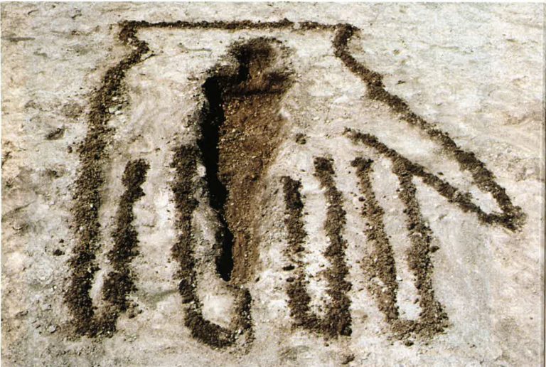 Ana Mendieta’s Sphere of Influence - Sculpture
