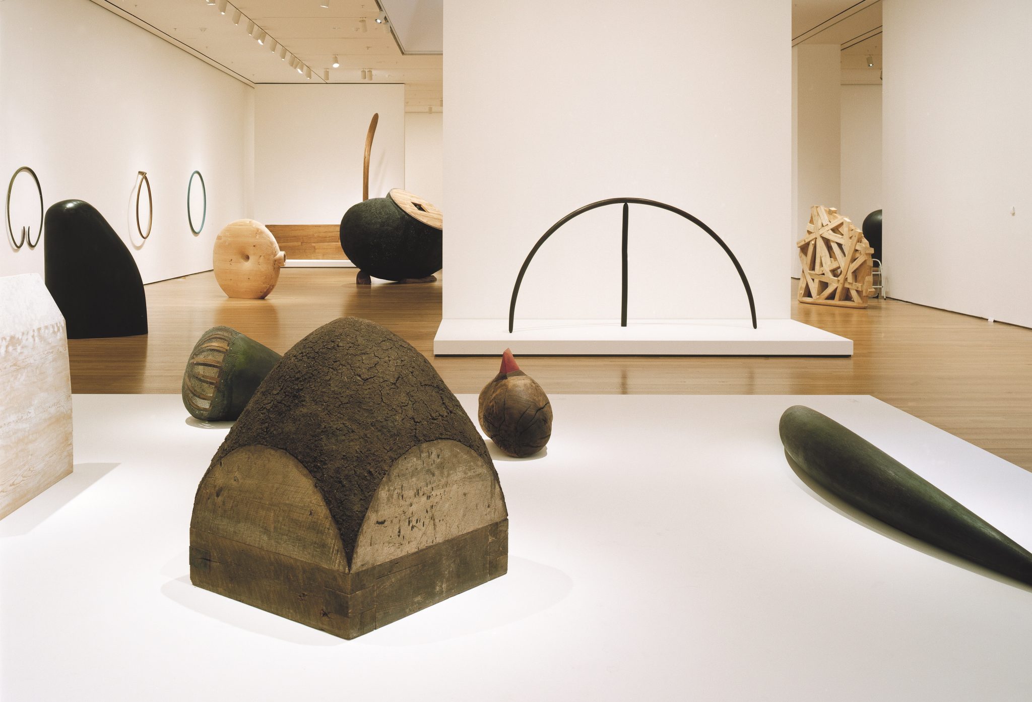 Martin Puryear: Spirit, Personhood, and History - Sculpture