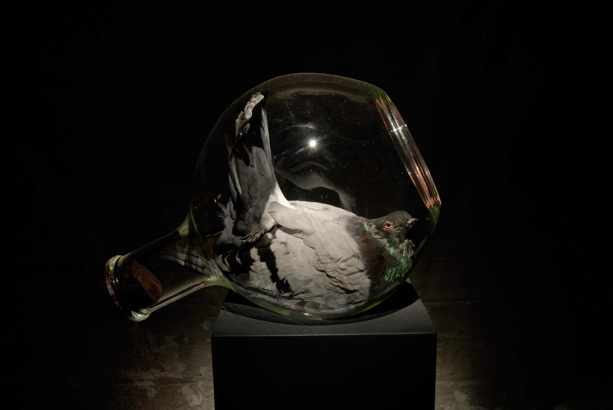 Impossible Restraint: A Conversation with Polly Morgan - Sculpture