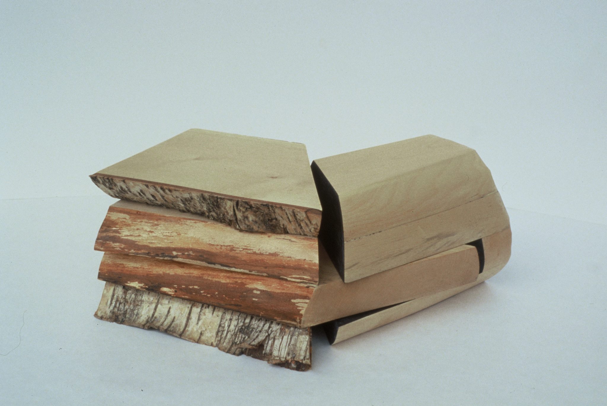 The Tree Within: A Conversation with Foon Sham - Sculpture