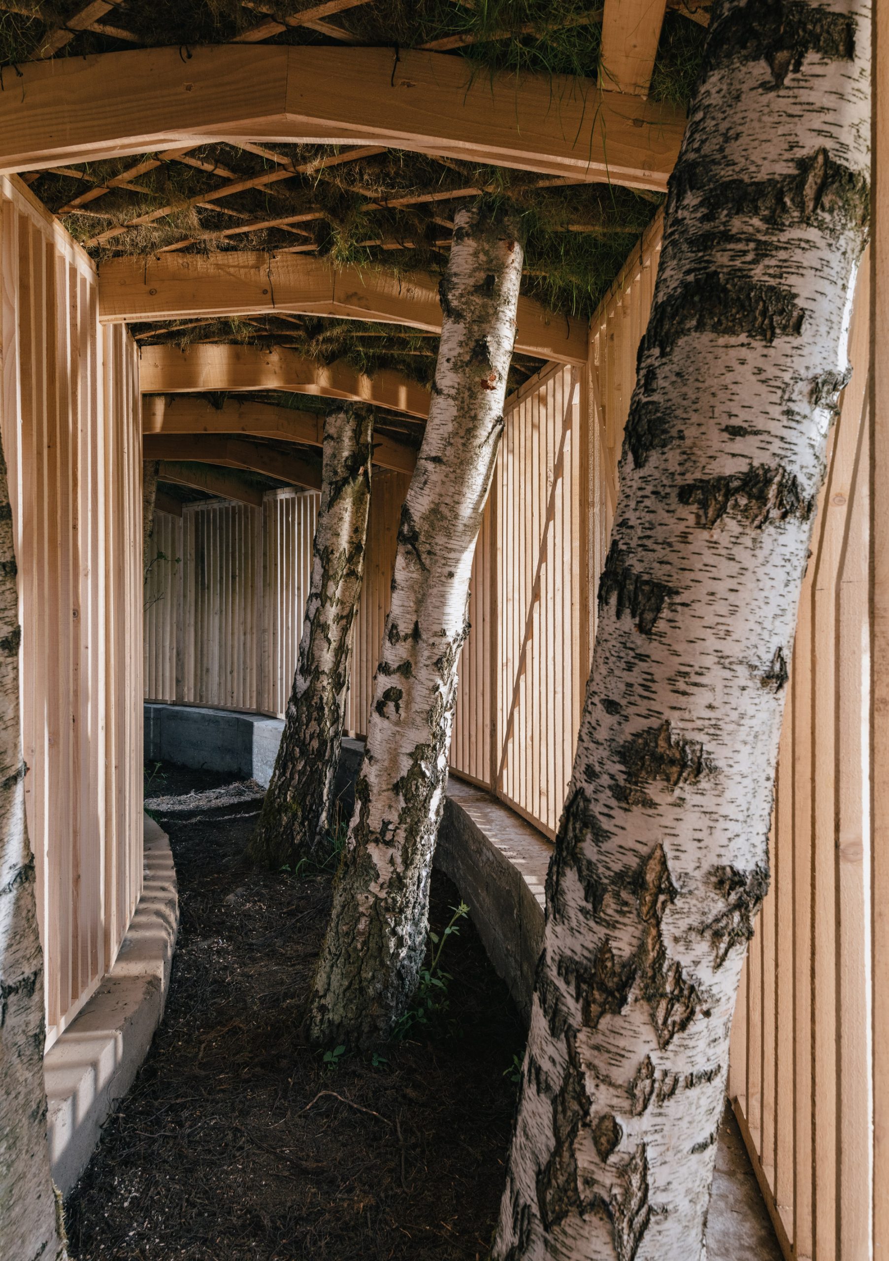 Studio Morison: Designing Pathways To Nature - Sculpture