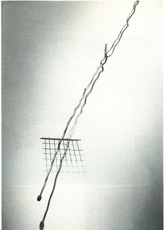 Steven Tucker - Sculpture