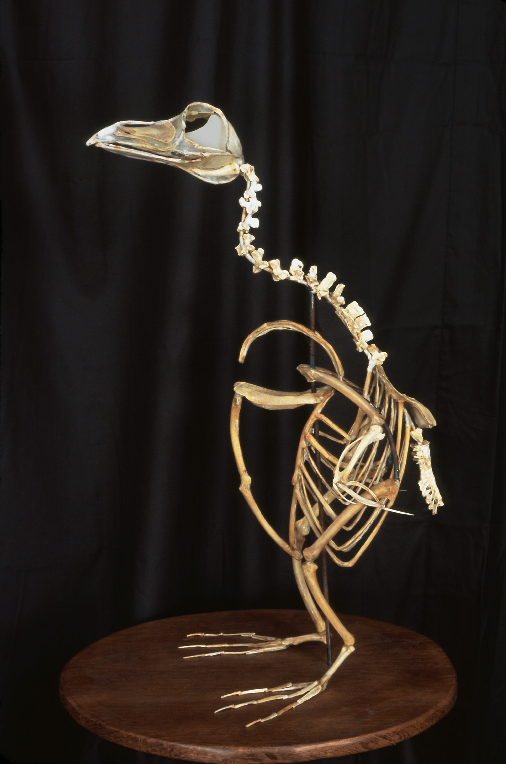 Beyond the Art/Science Duality: A Conversation with Ellen K. Levy ...